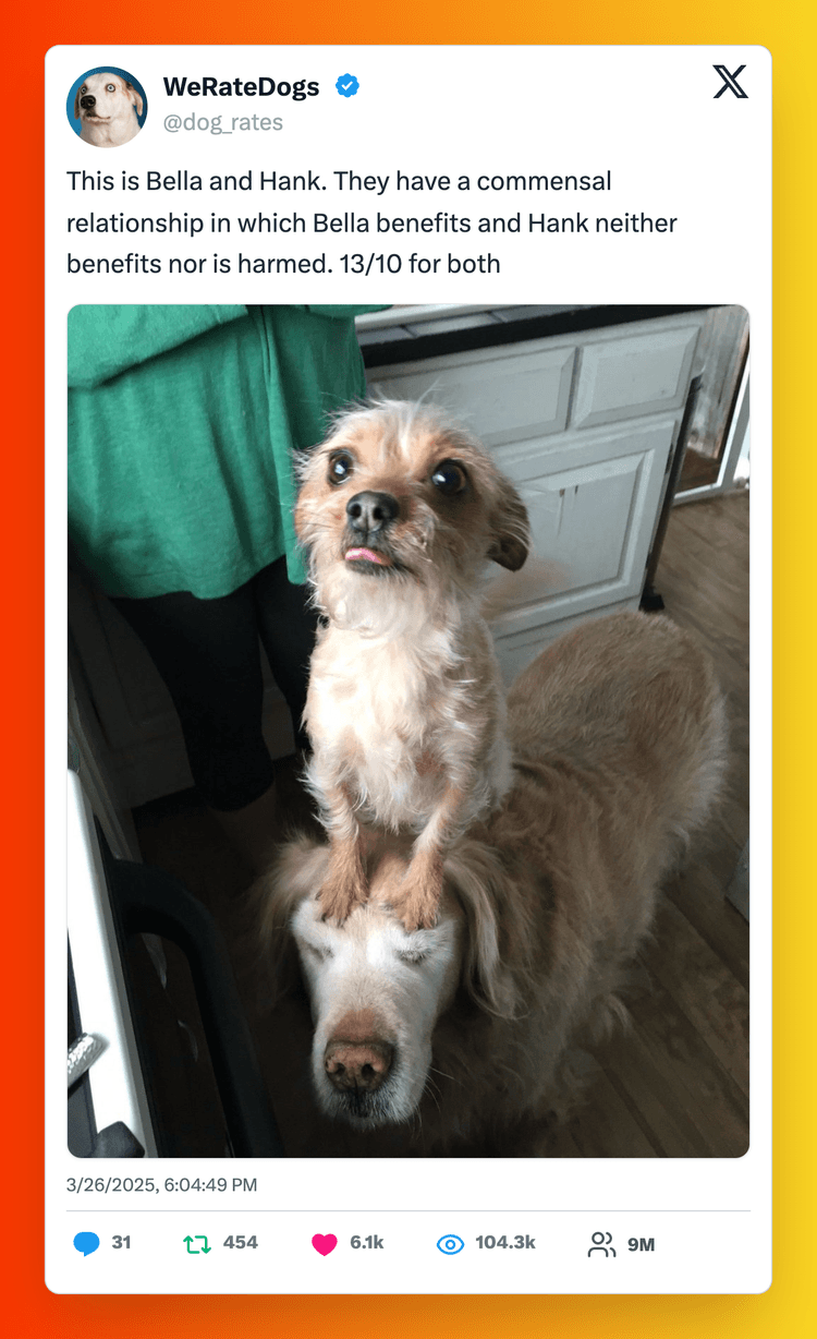 PostCapture - Transform Your X (Twitter) Screenshots